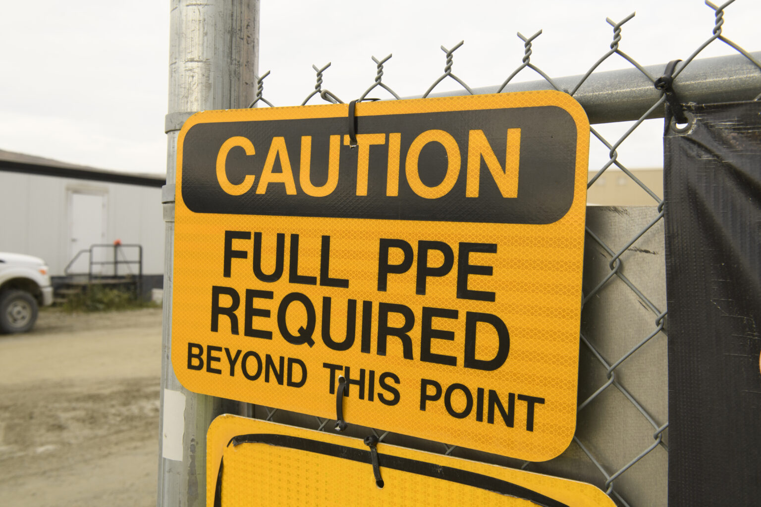 The Auditor’s Role - The Cyanide Code