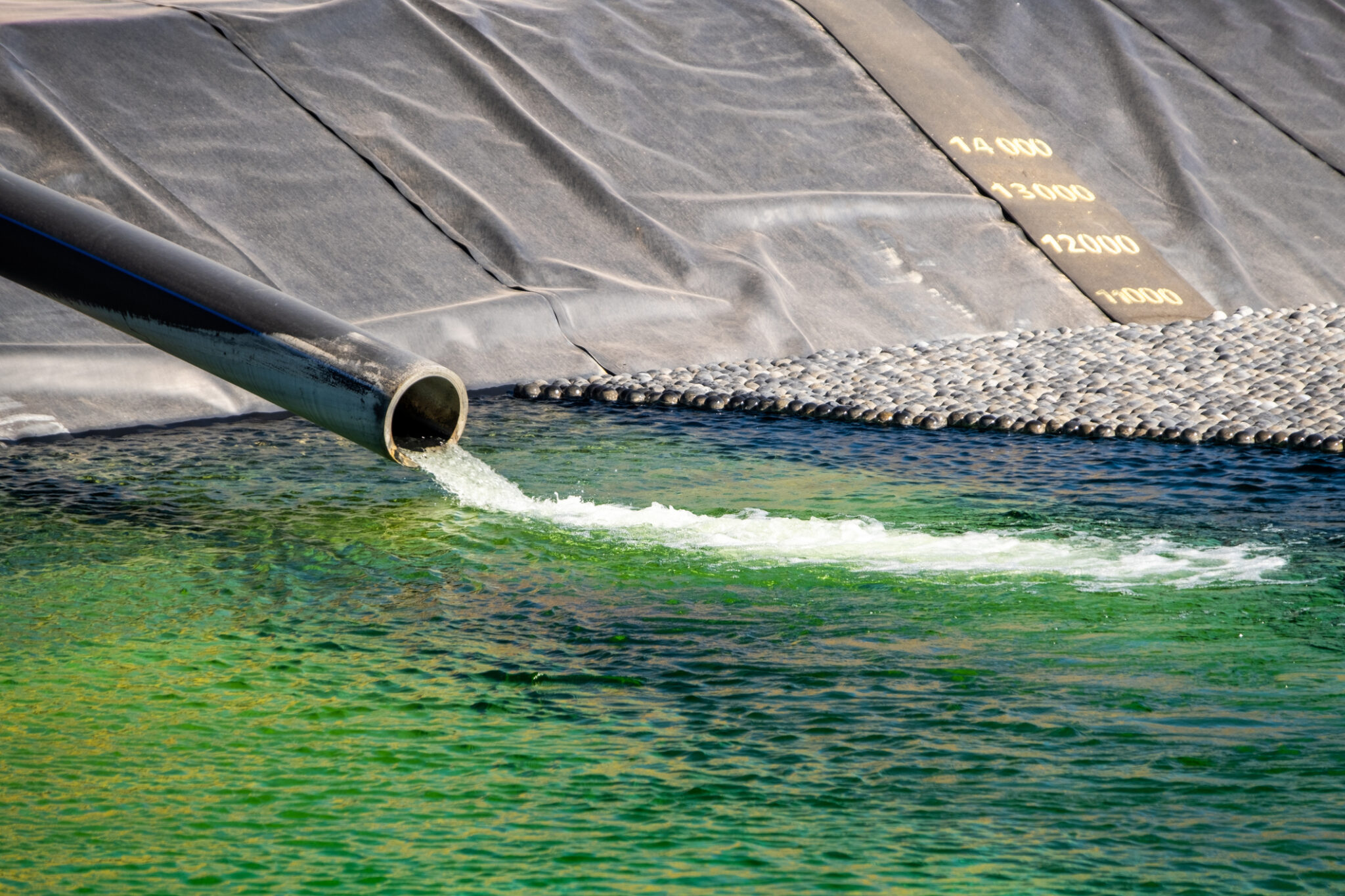 Notifications to ICMI - The Cyanide Code